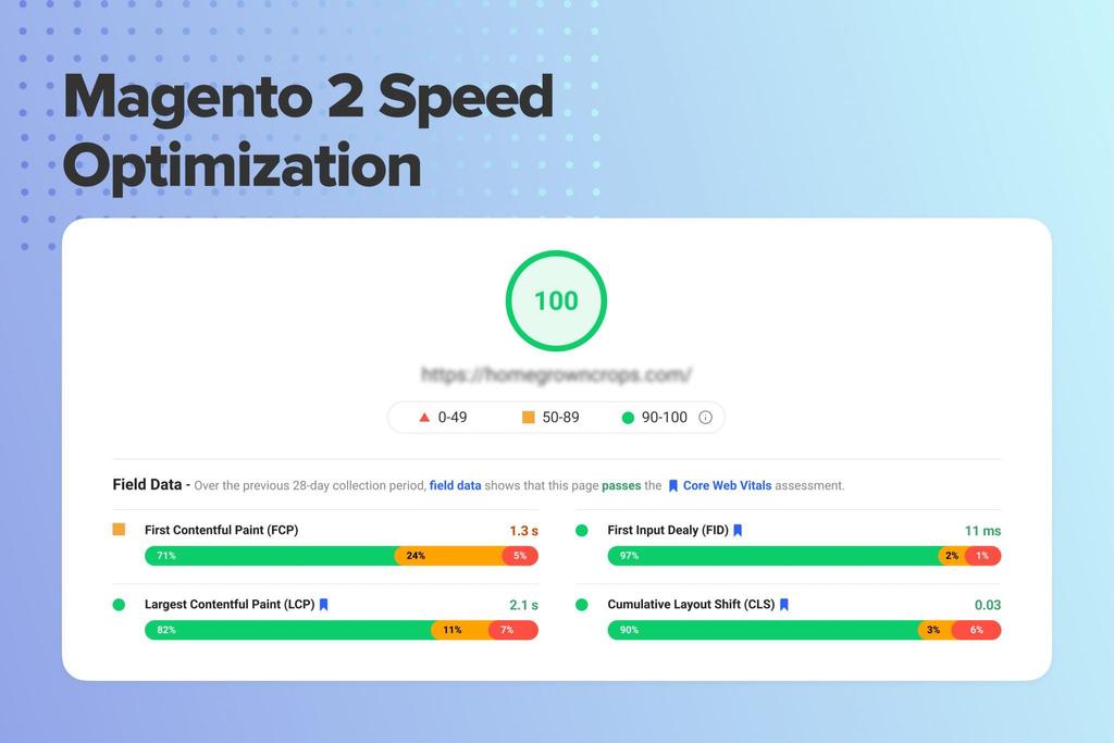 Magento 2 Speed Optimization: 32 Fixes to Fast Performance | Onilab Blog