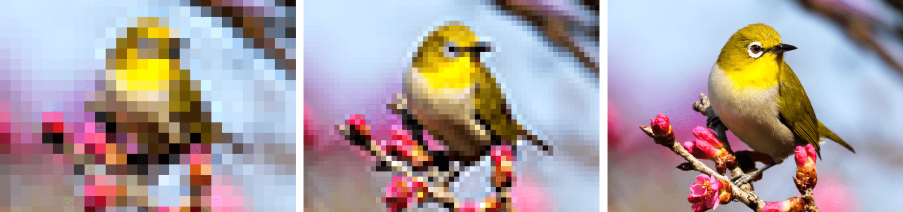 How to Optimize Images for Magento | Onilab Blog